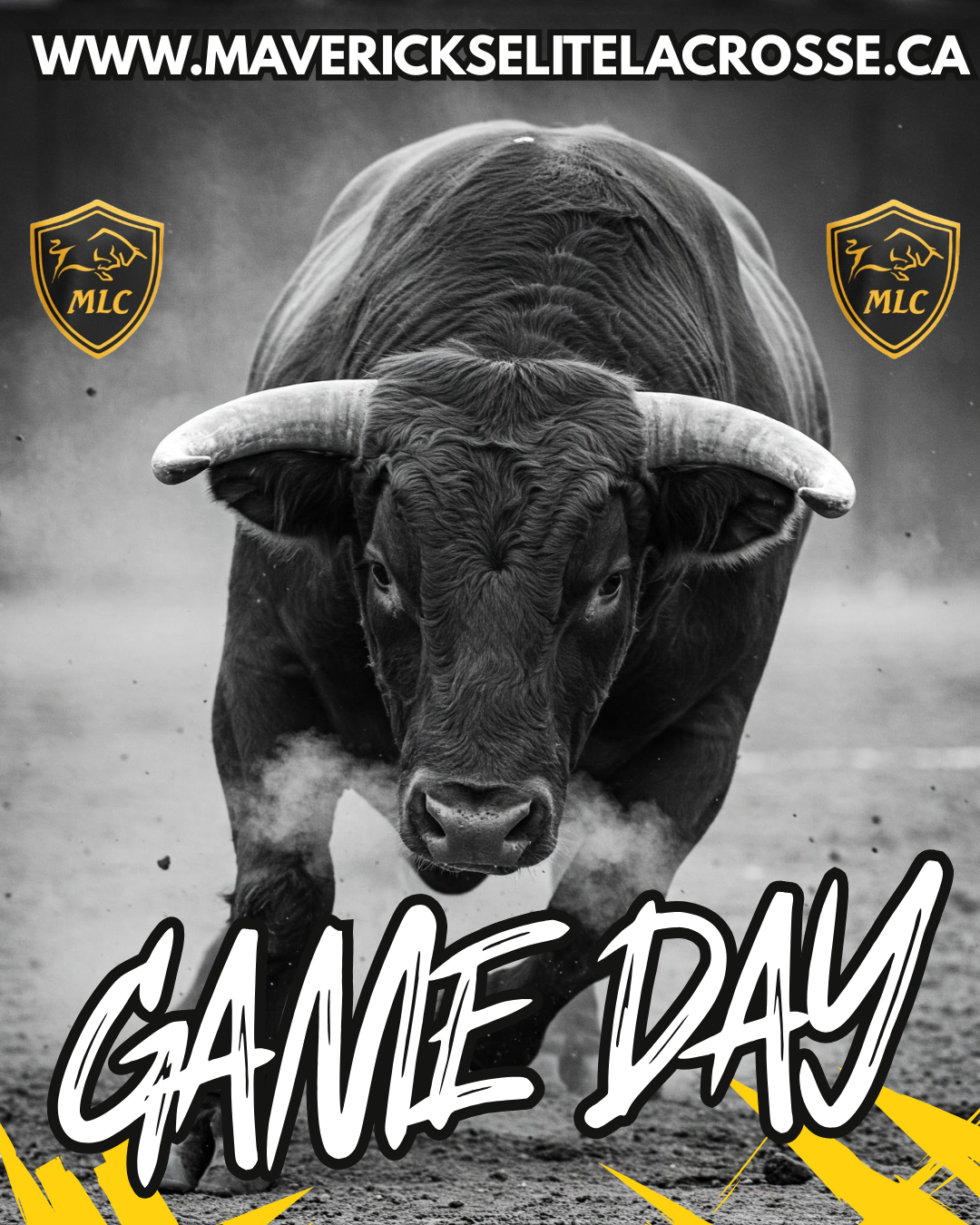 Mavericks Elite Lacrosse : Website by RAMP InterActive